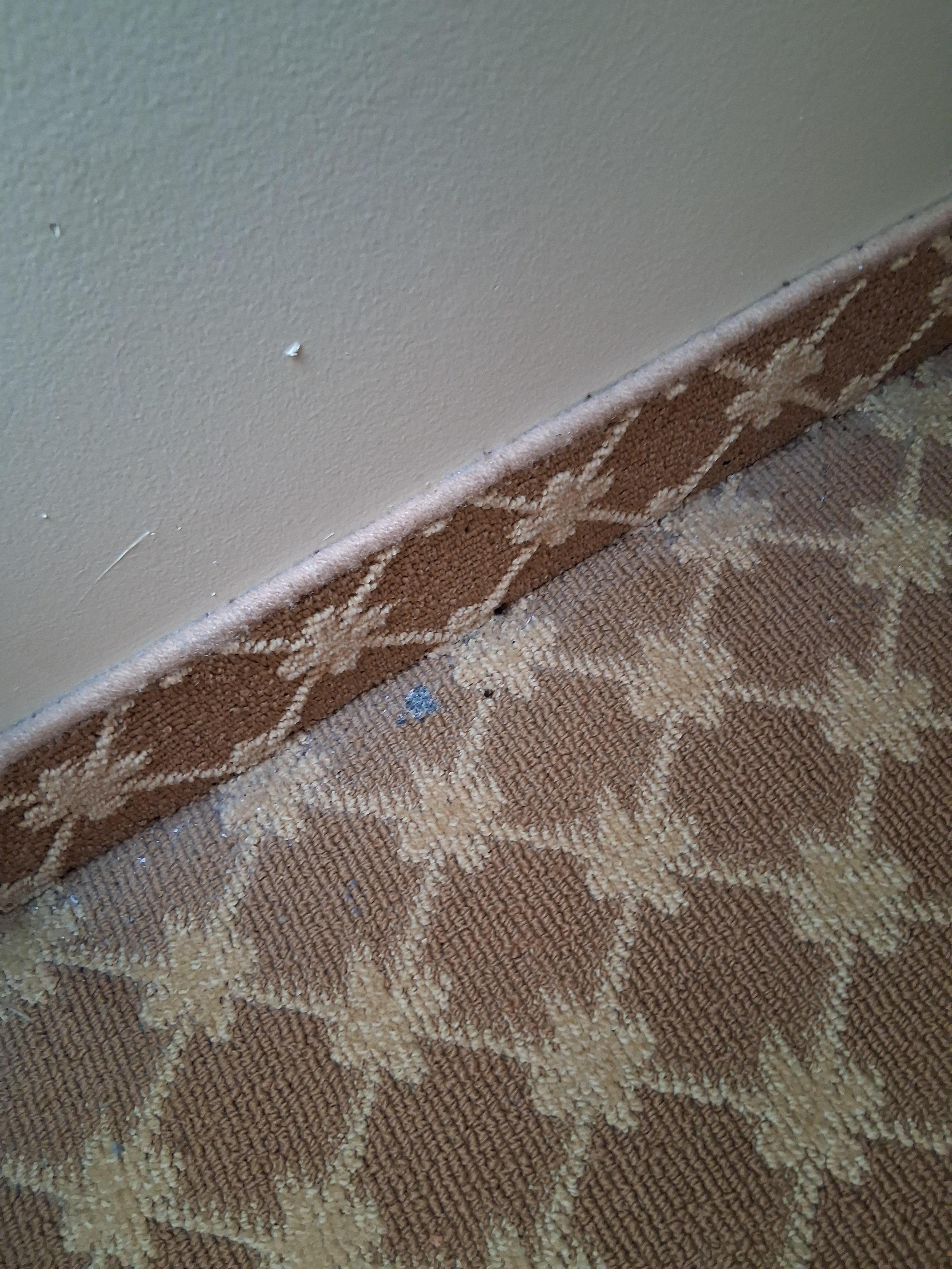 very dirty under window curtains