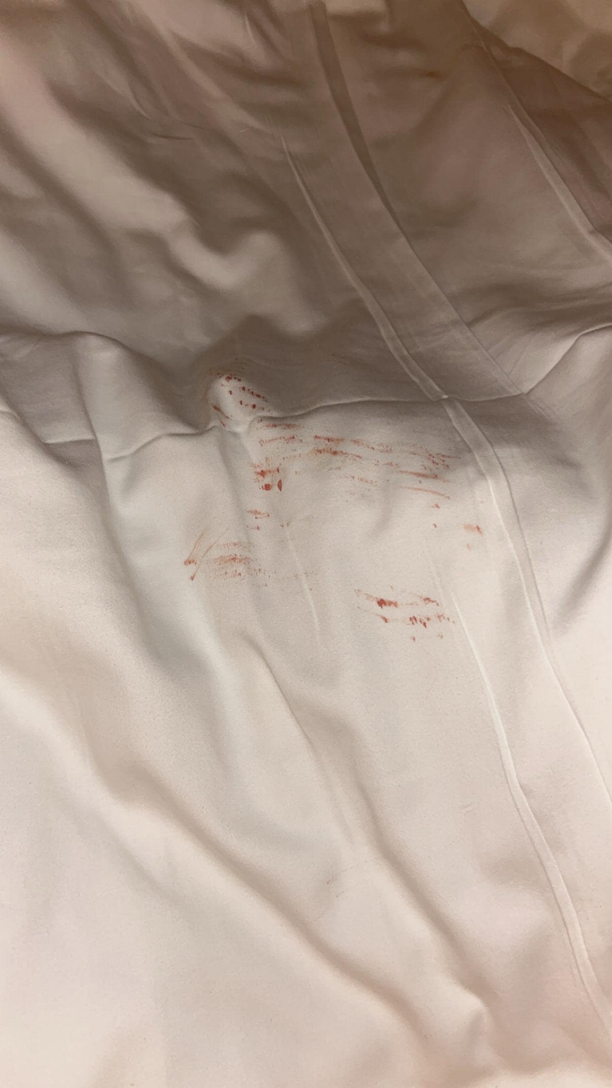 Blood on the sheets 