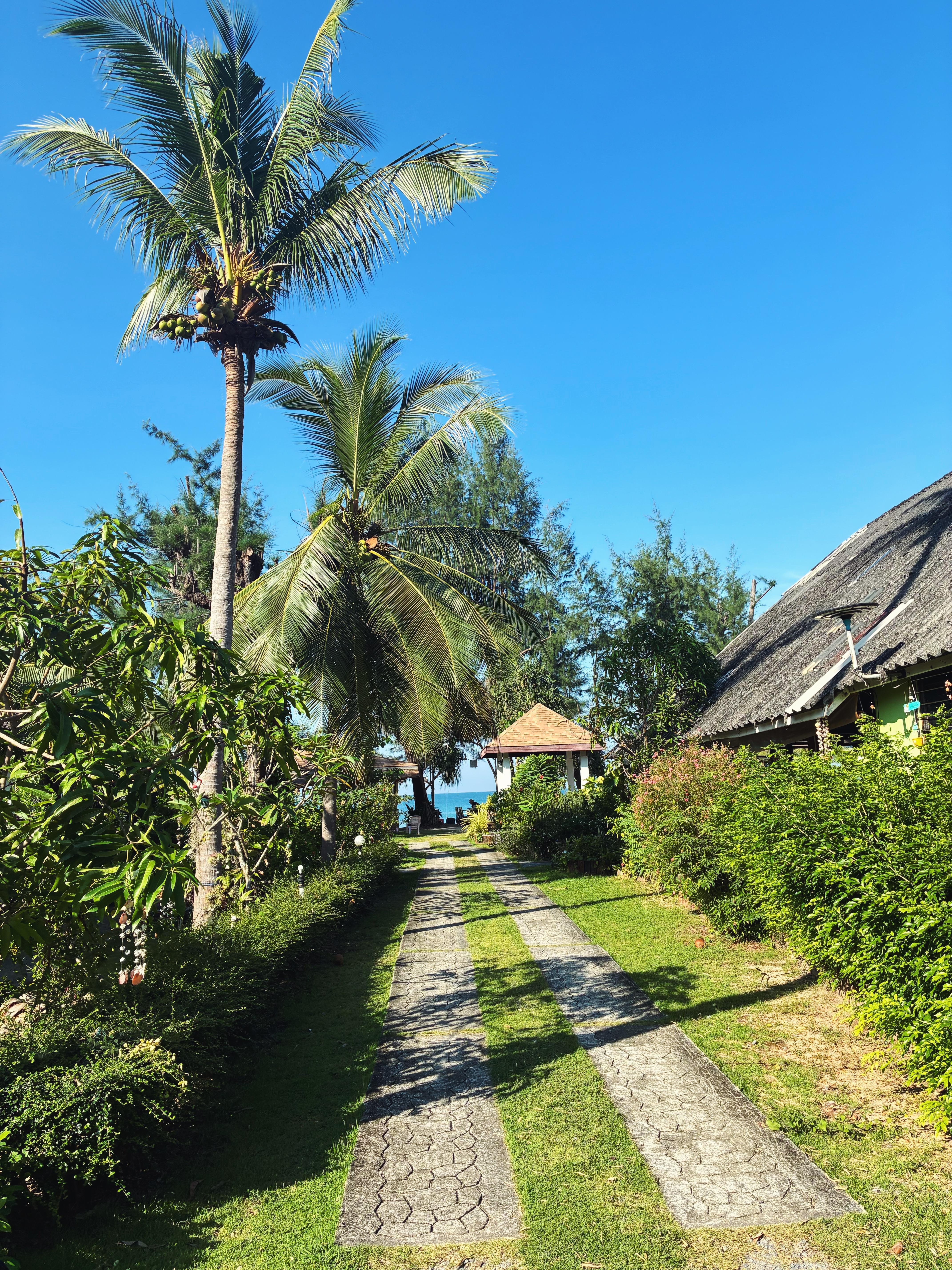 På väg till frukosten