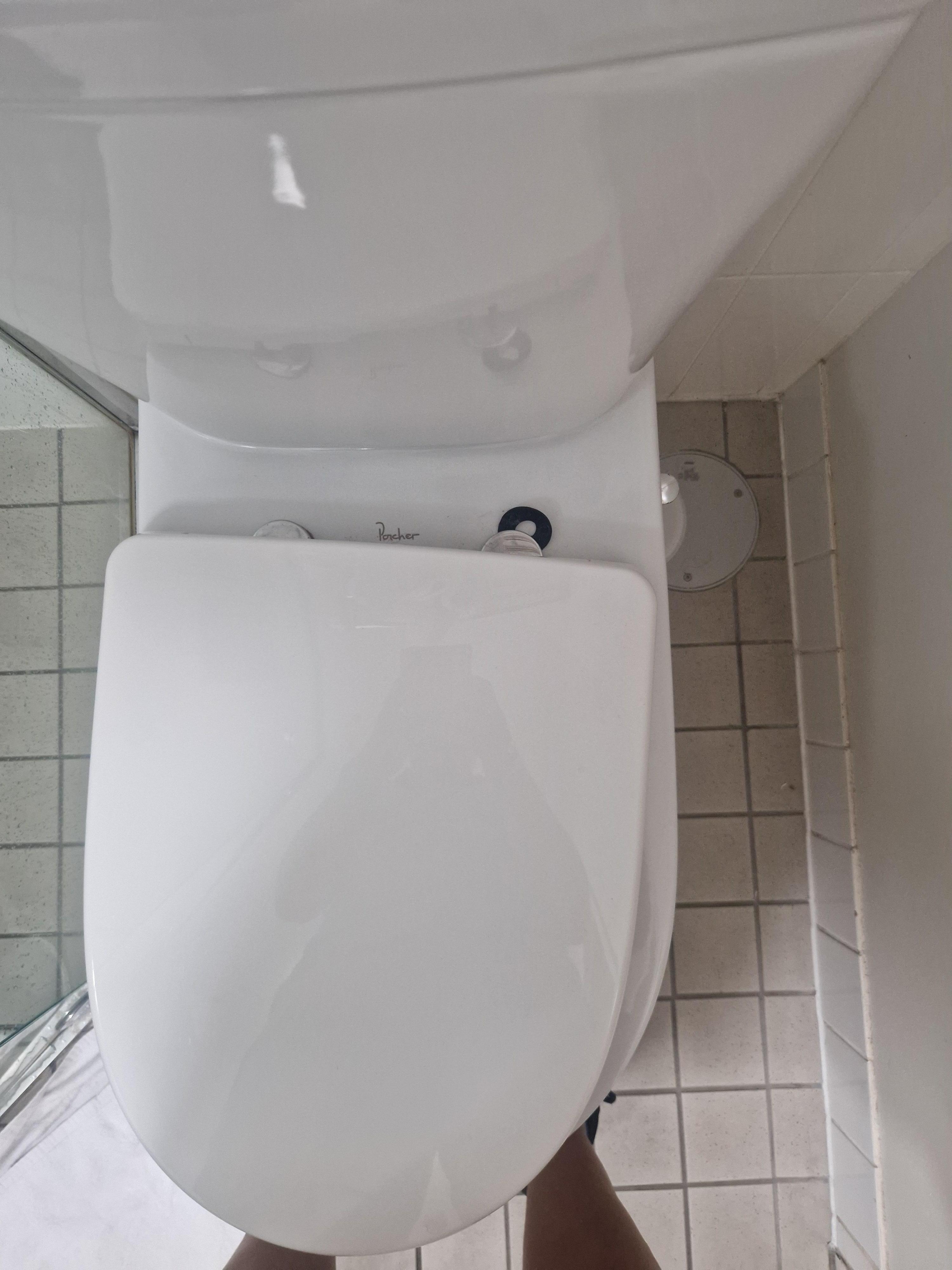 Broken toilet seat