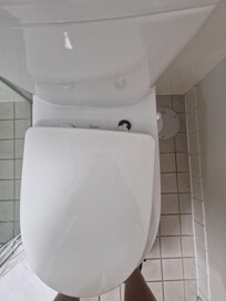 Broken toilet seat