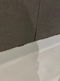 Moisissure dans la douche