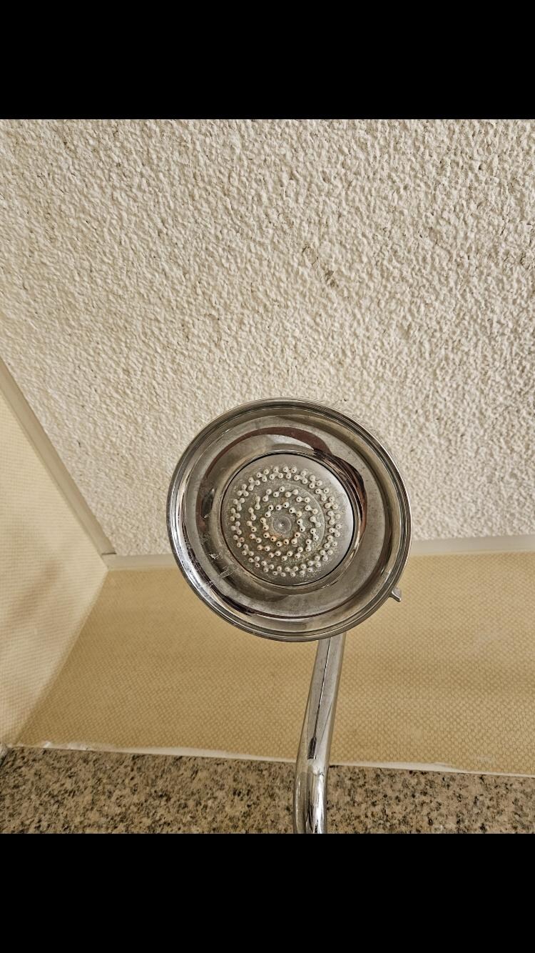 Corroded shower head