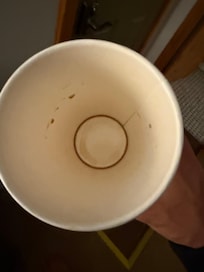 Was part of the cups resort left us with. Really question how much detail was left in maintenance