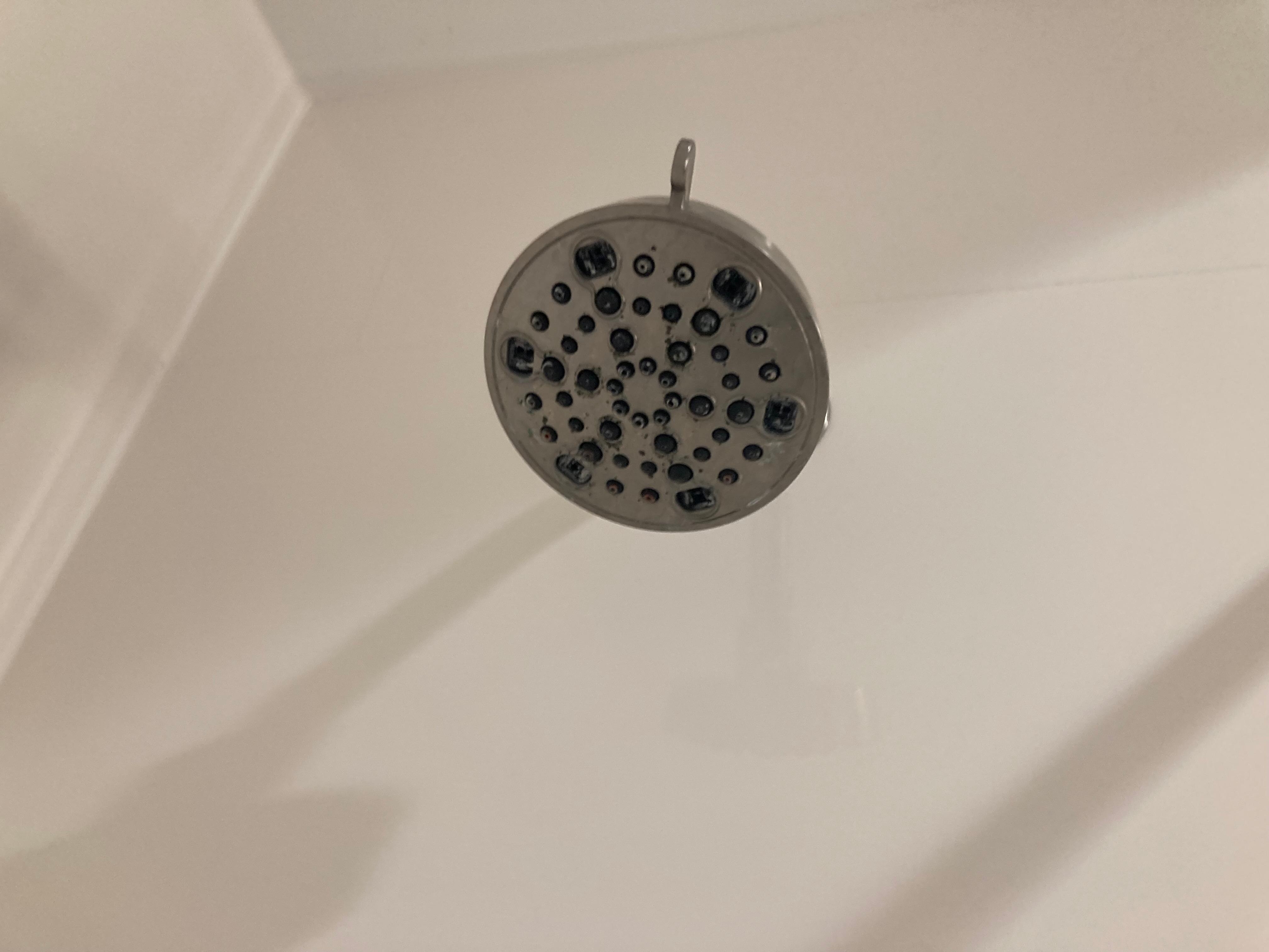 Shower head wasn’t dirty 