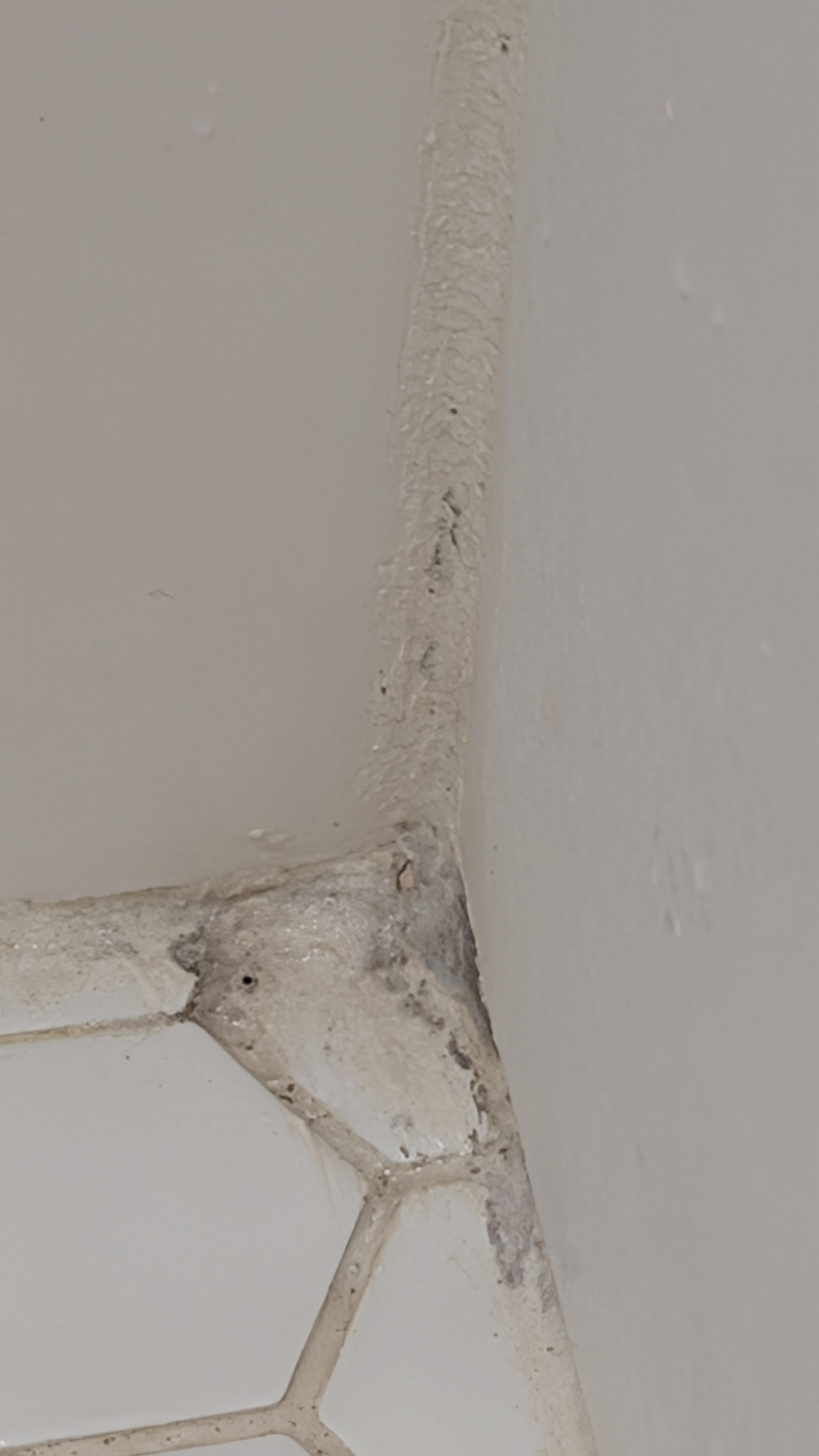 Corner of shower with chipped floor and mold