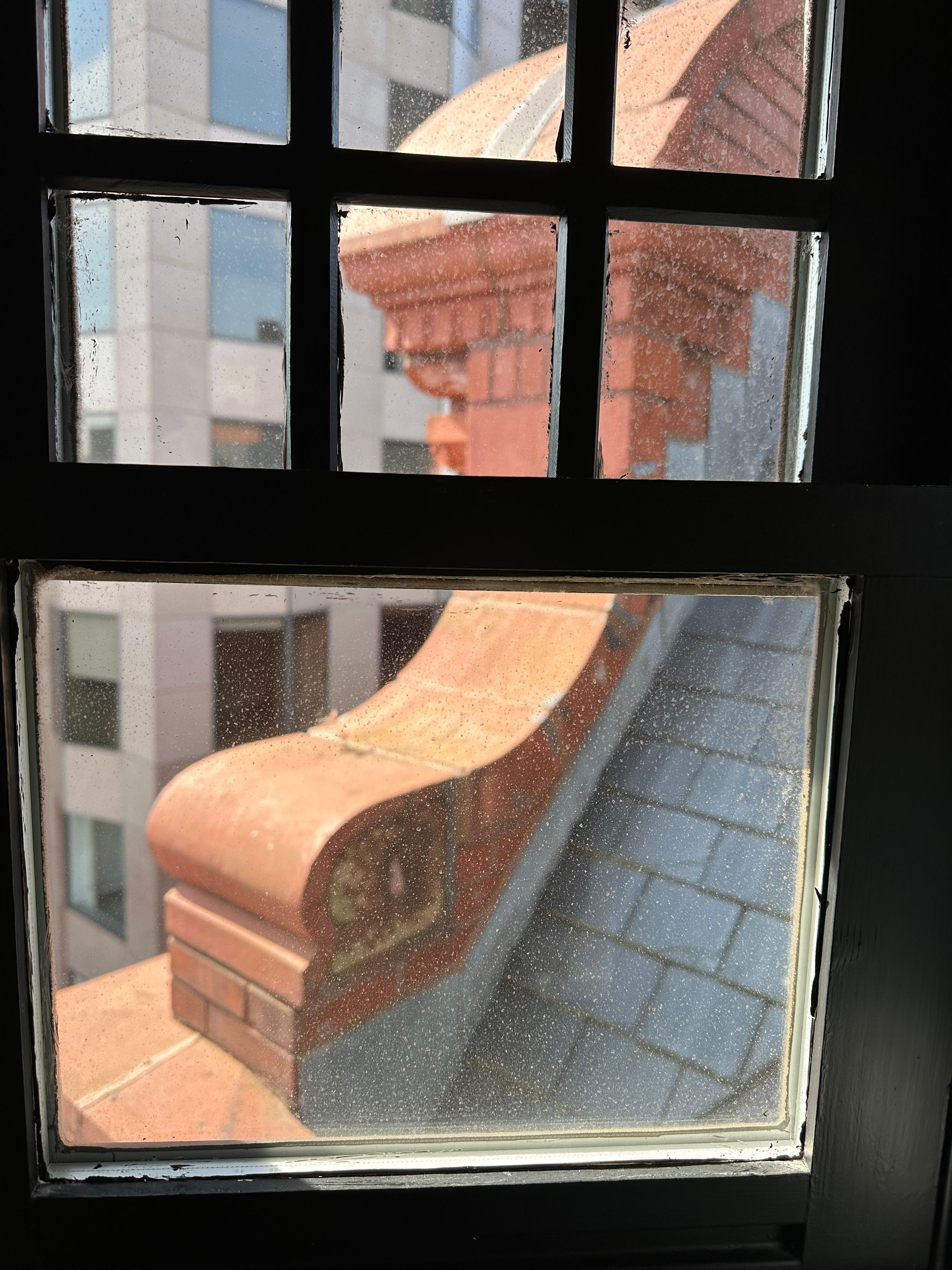 Seedling growing outside our 5th floor window. Thought it was a beautiful photo op.