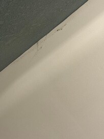 Cobwebs all over the ceiling