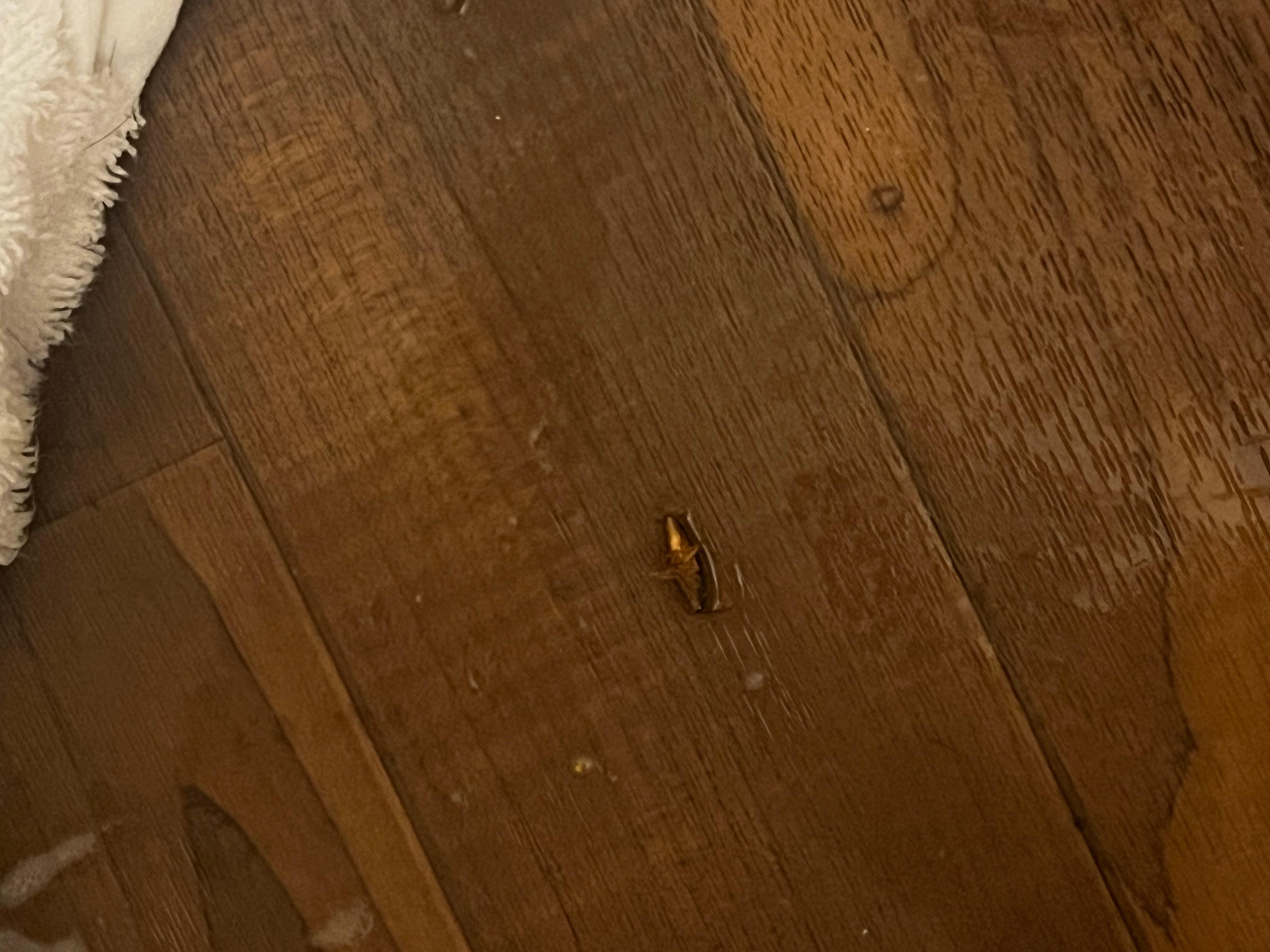 Roach in the bathroom 