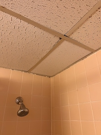 Chipped bathroom ceiling which left debris in my tub.