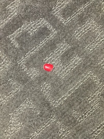 Fingernail that greeted us when we checked into our room