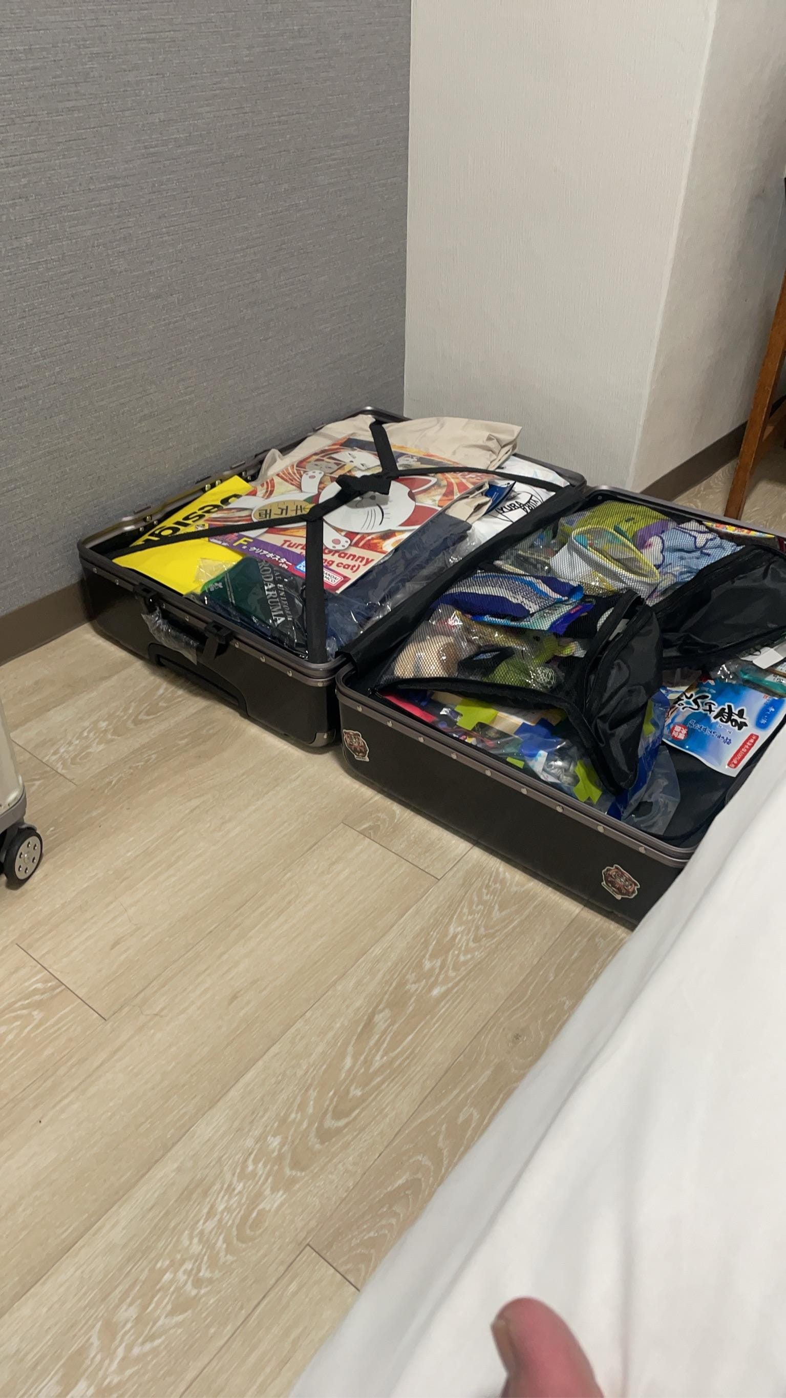 雙人房雖然小但是29寸行李箱依然可以打開