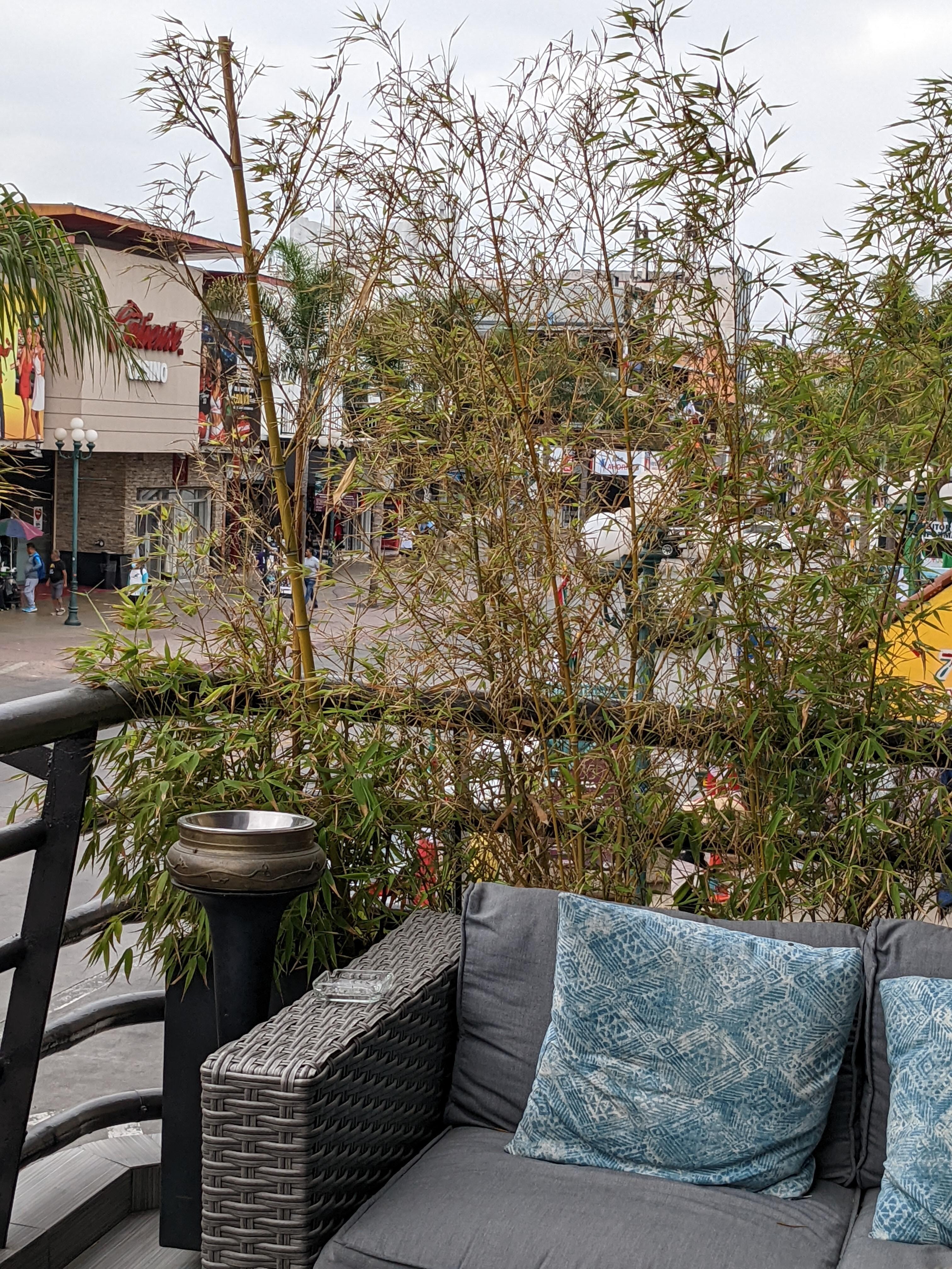 Book Hotel Rio Rita in Tijuana | Hotels.com