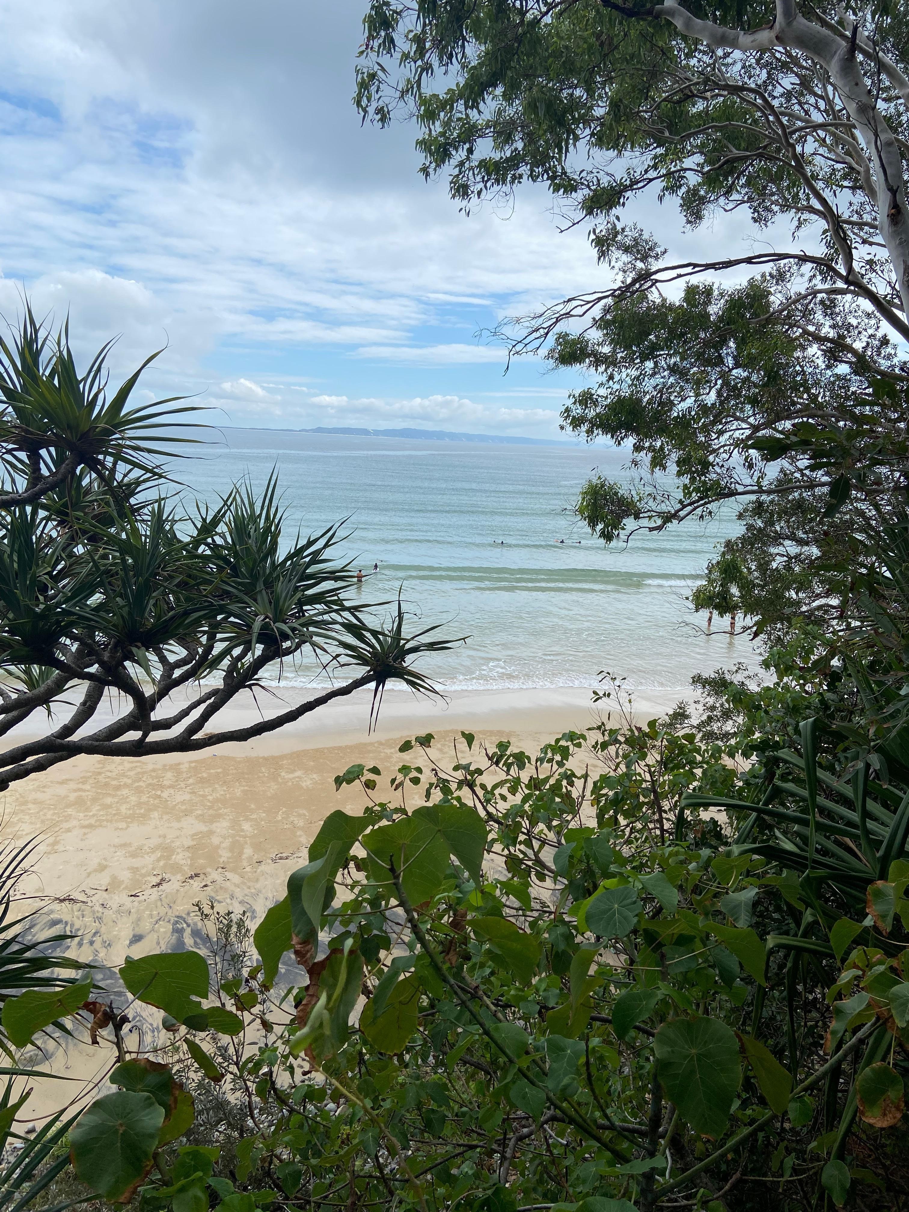 Praia maravilhosas em Noosa Heads