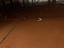 Pedaços de vidro sob a cama