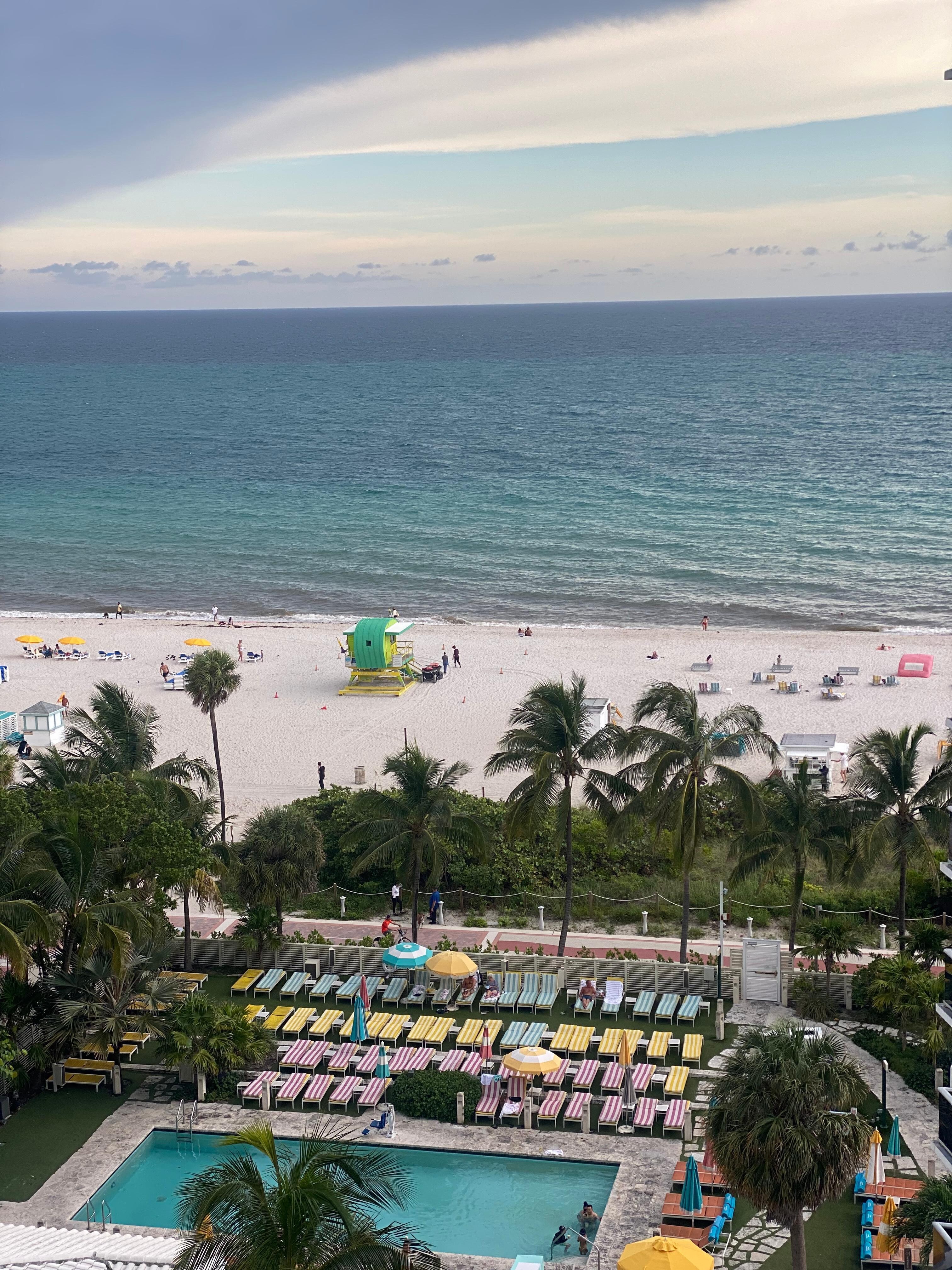 The Confidante Miami Beach, part of Hyatt in Miami: Find Hotel Reviews ...