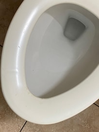 Filthy toilet seat as soon as walking in