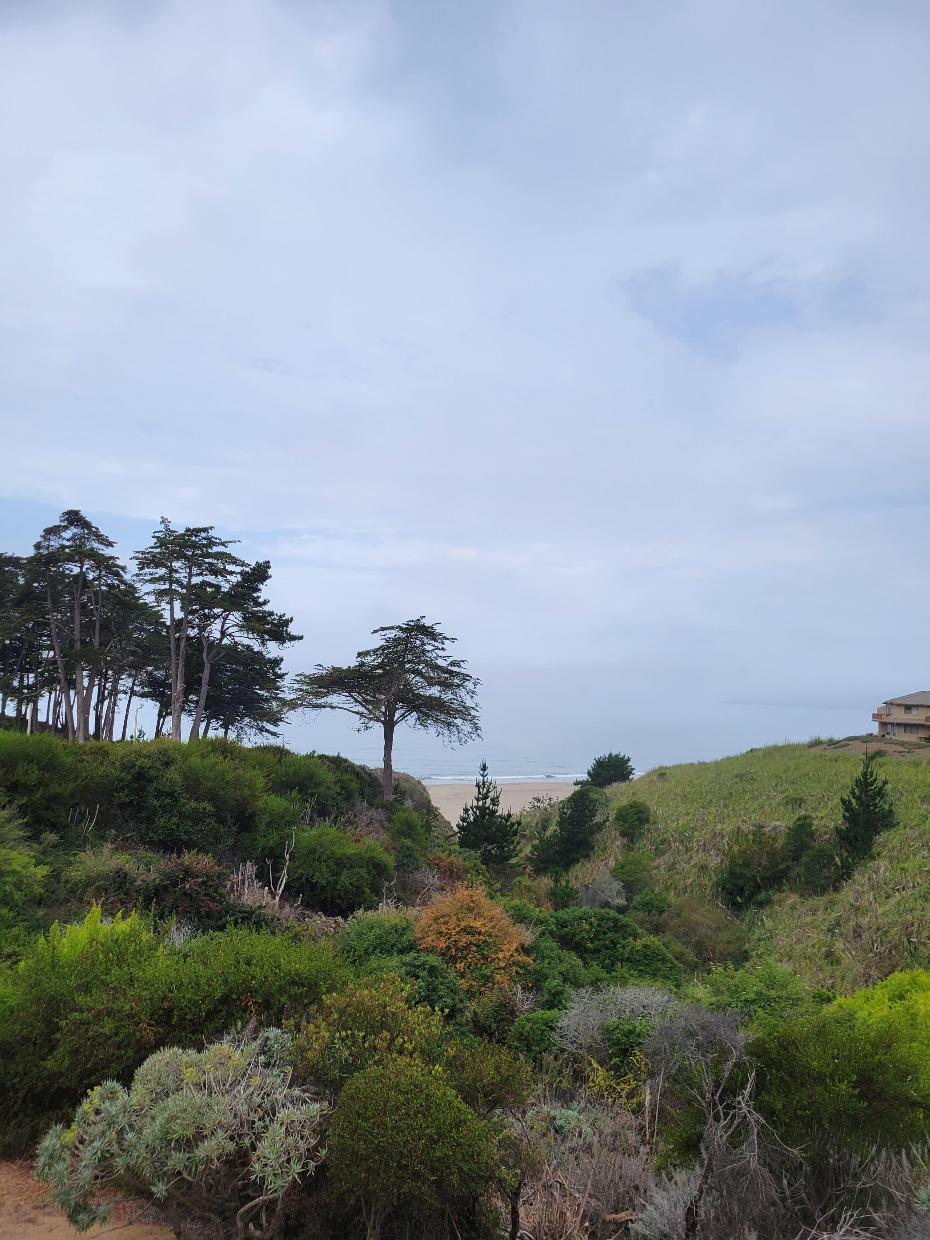 Book Seascape Beach Resort Monterey in Aptos | Hotels.com