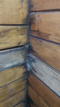 More rotten wood.