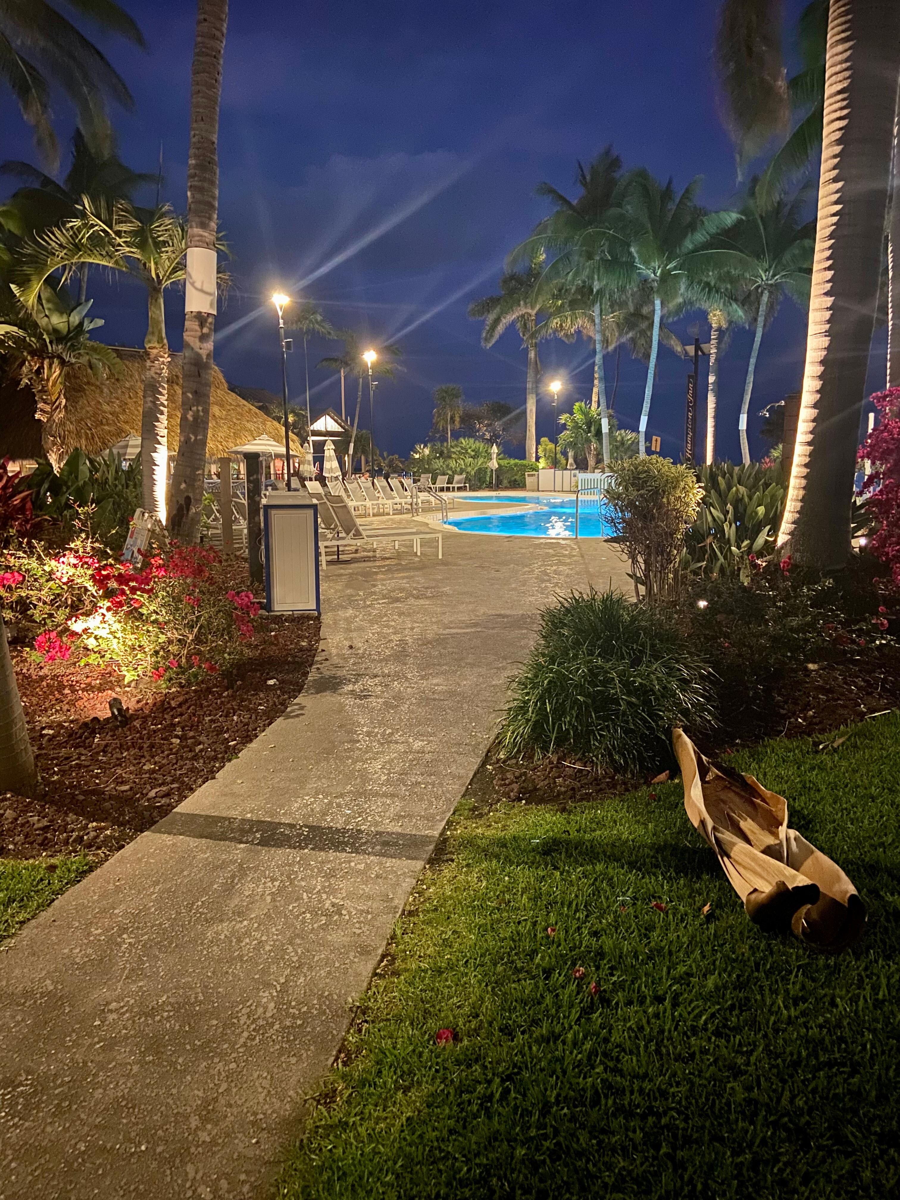 Hampton Inn Key West FL in Key West: Find Hotel Reviews, Rooms, and ...