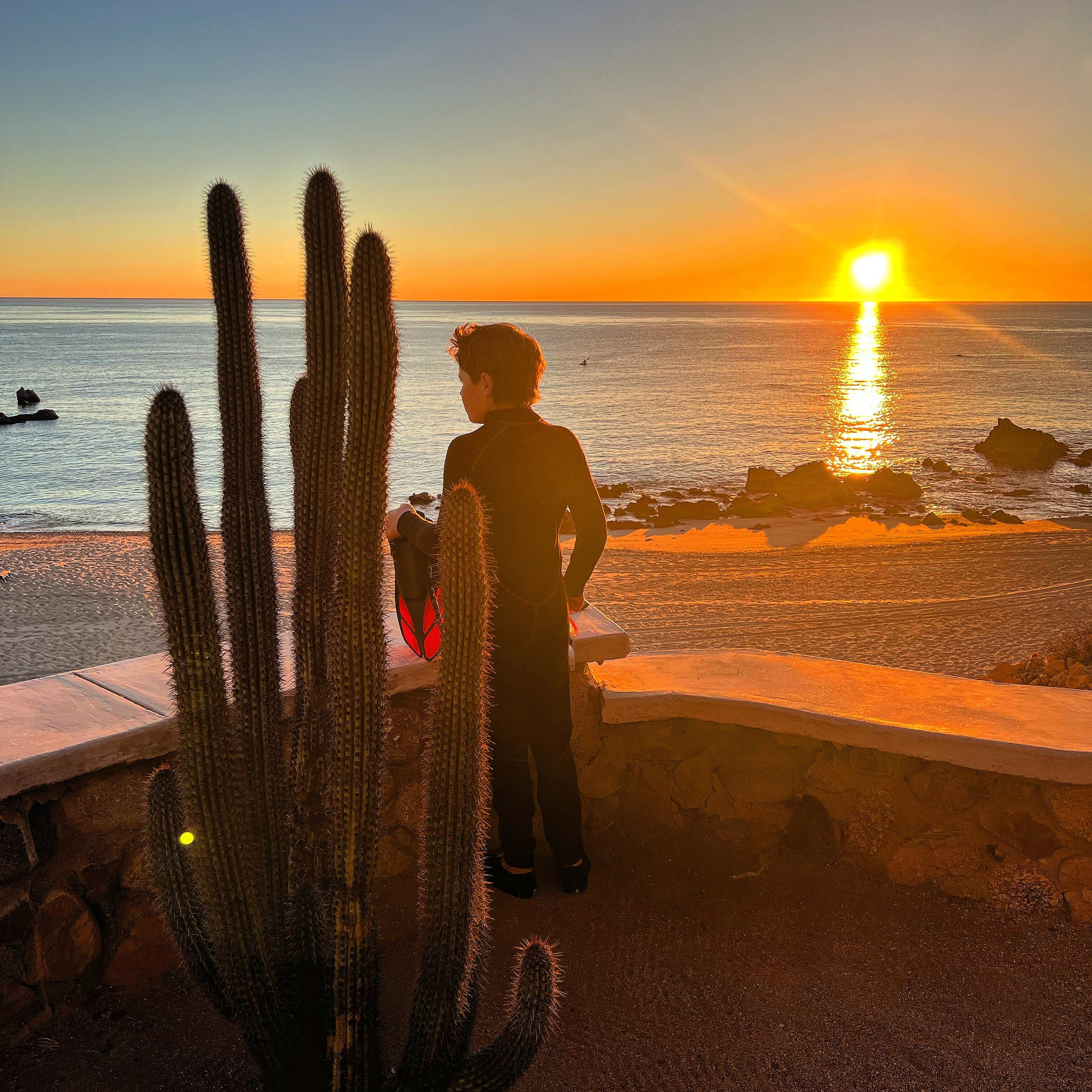 Hotel Punta Pescadero Paradise in Los Barriles: Find Hotel Reviews ...