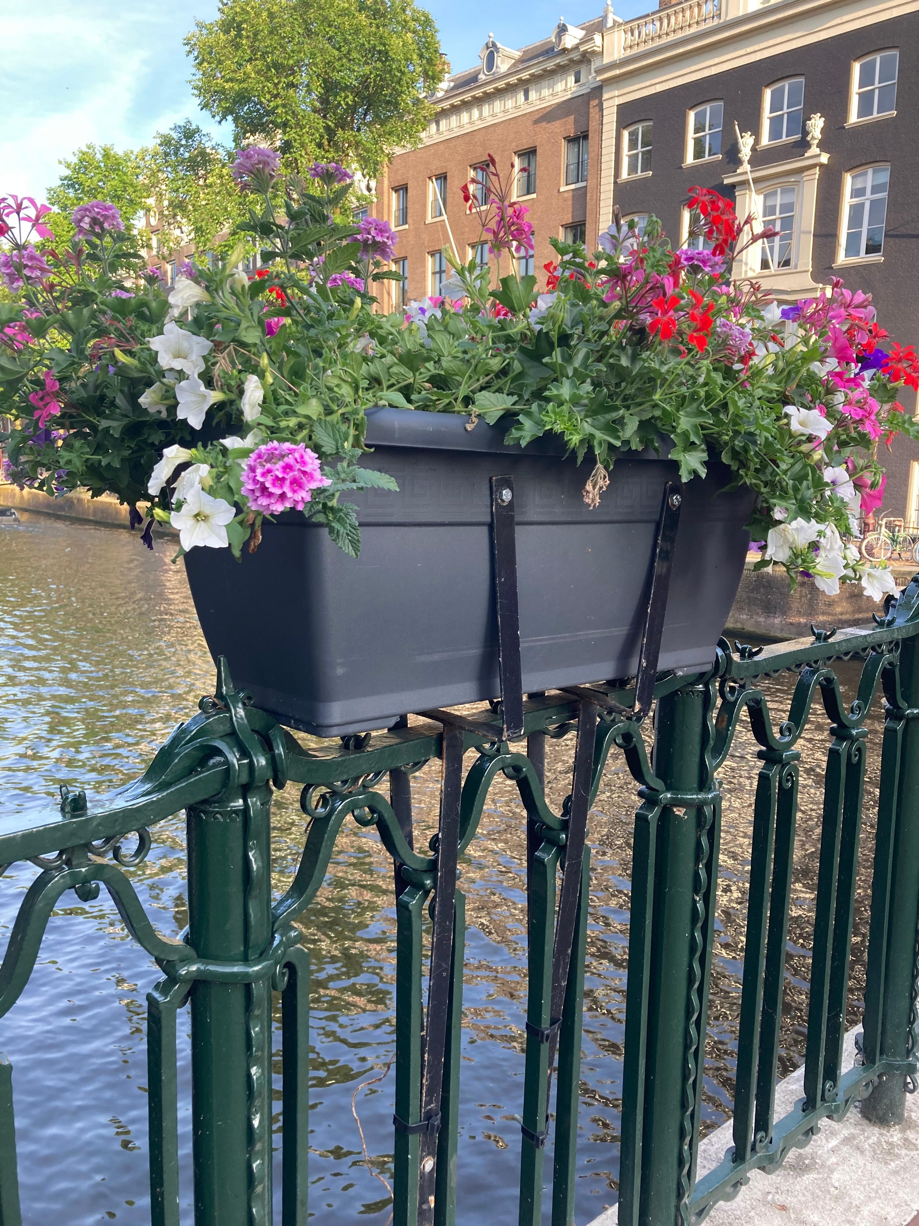 Banks Mansion in Amsterdam: Find Hotel Reviews, Rooms, and Prices on ...