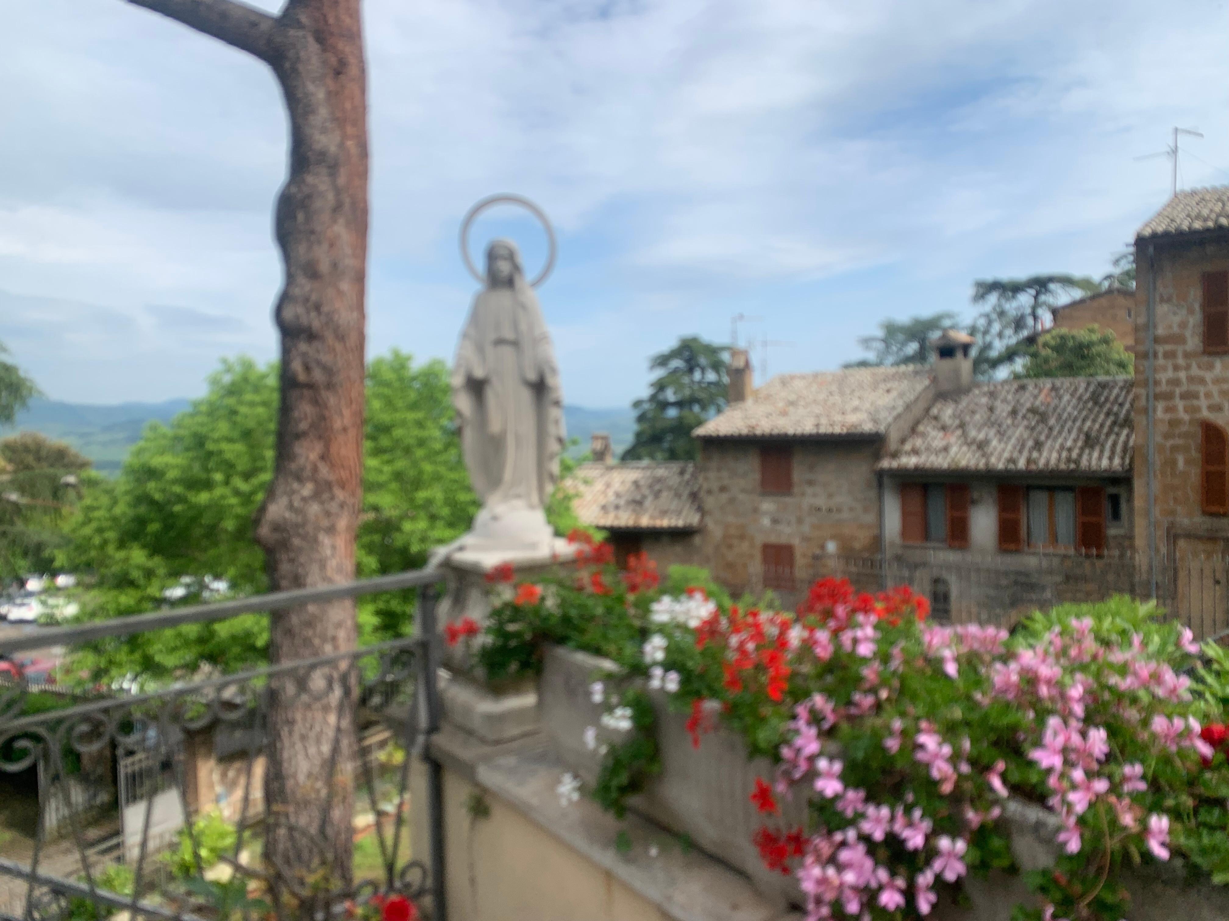 Garden view