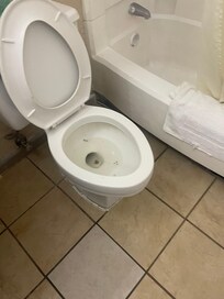 Brown particles floating in the toilet didn’t get too close to find out what it was.