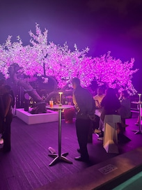 Lit up entry to roof bar