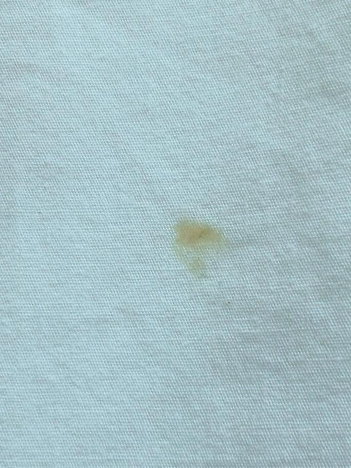 Premium Hilton Bed stain 1