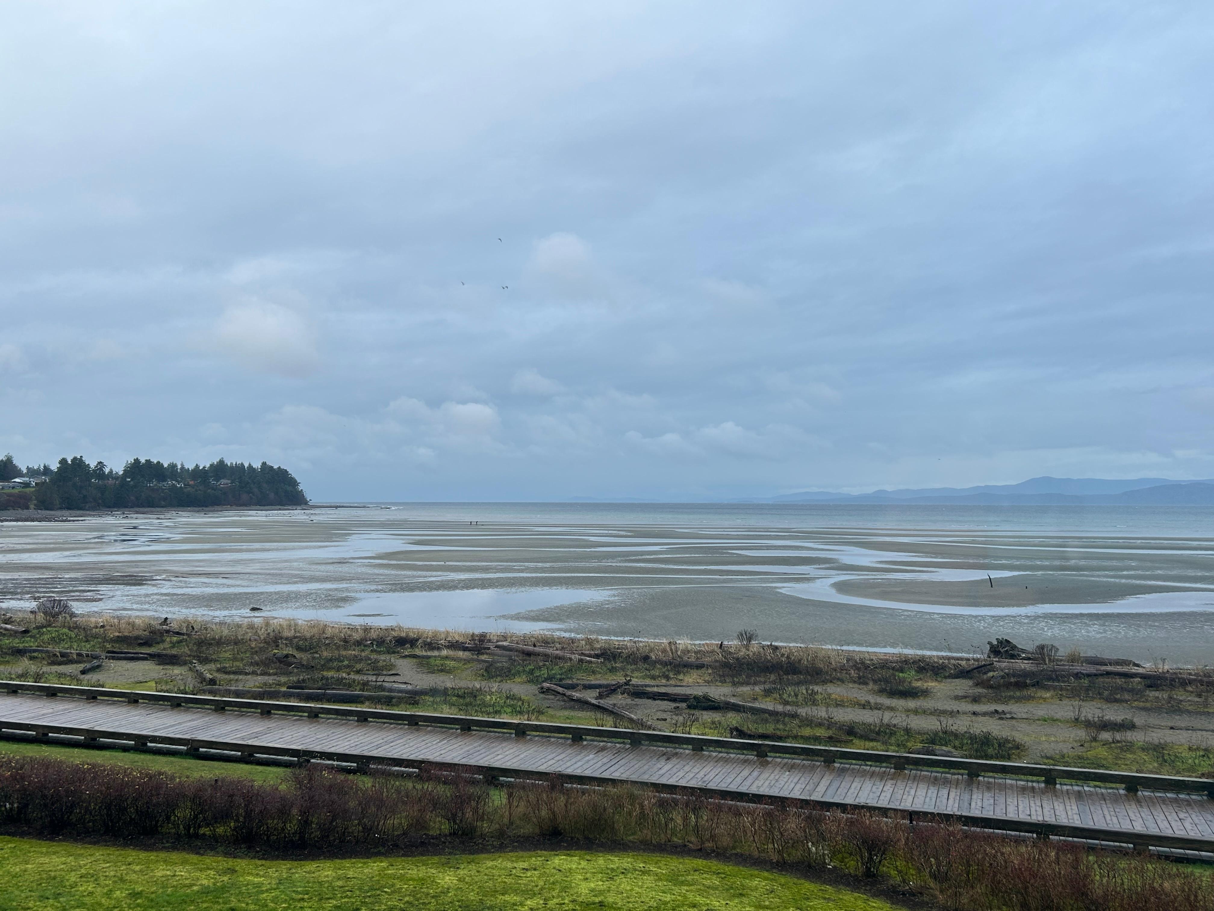 View from living room window 