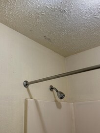 Mold in bathroom