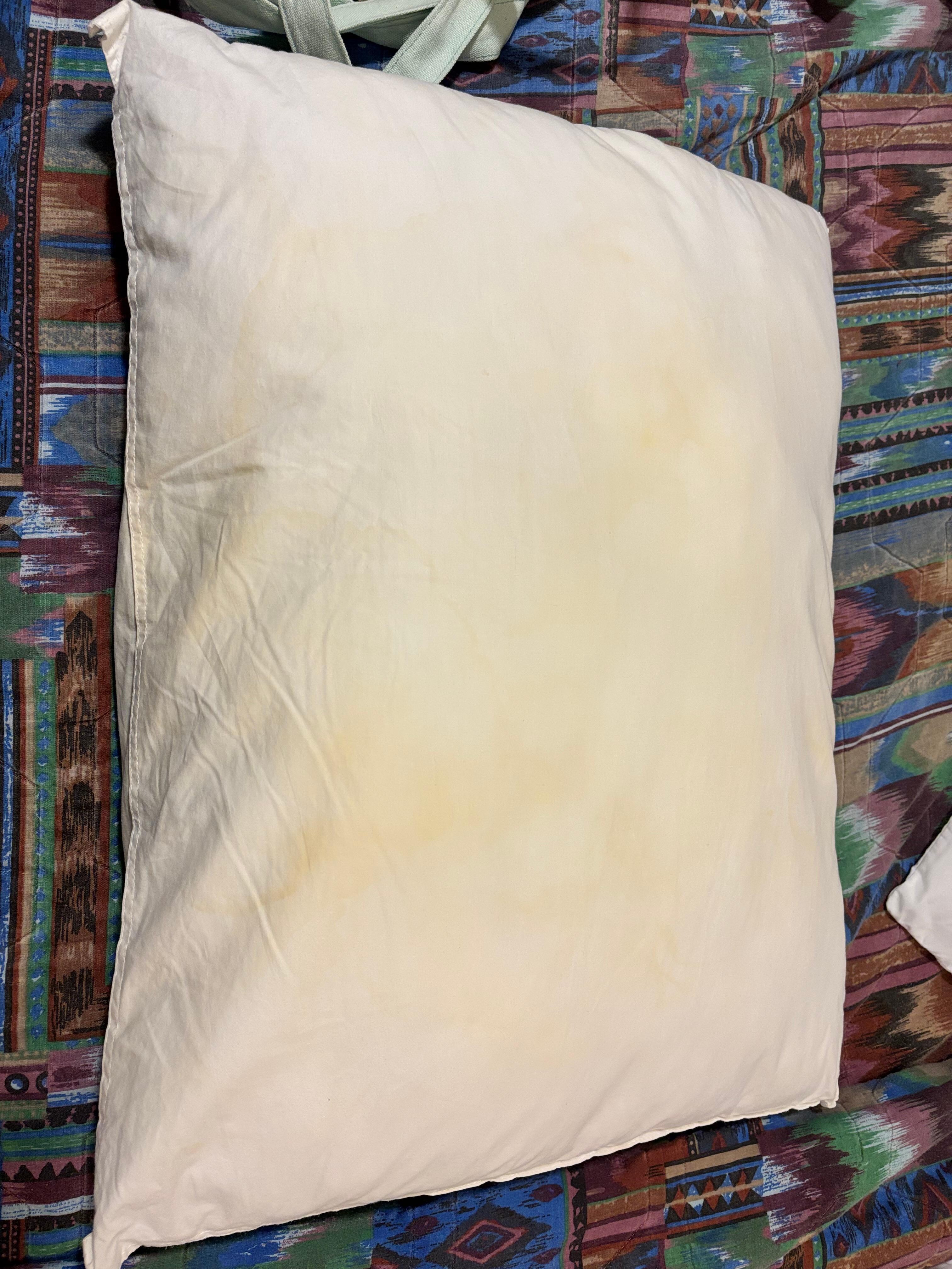 Sweat/slobber stained pillows