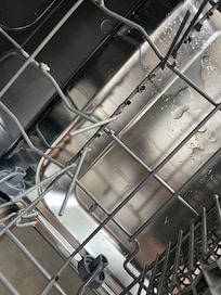 Dishwasher in need of replacemebt