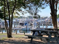 View from the nearby picnic table area.