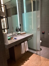 洗面室、大きな鏡があり、使用に充分。