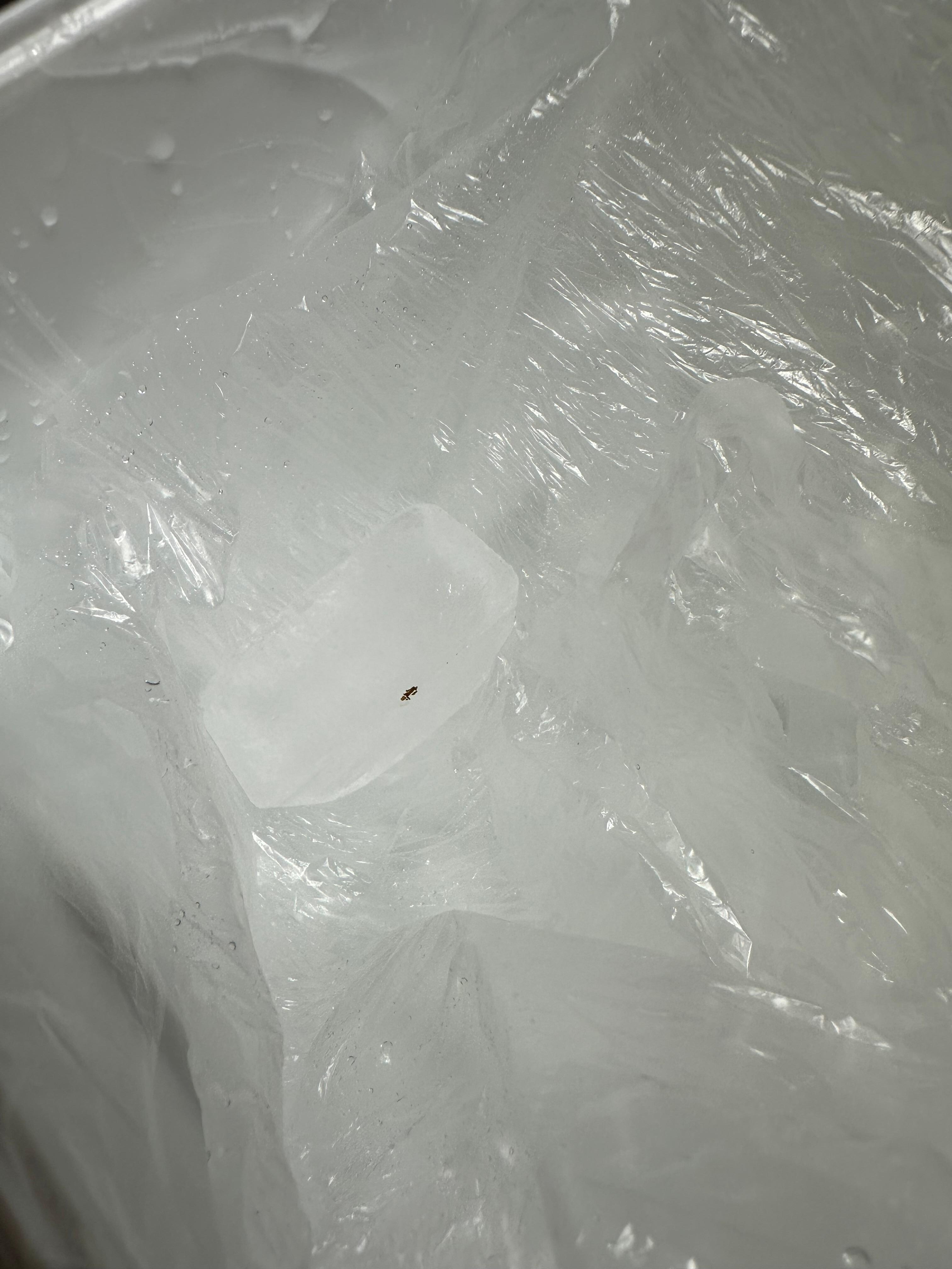 Ice cubs I got on my last day, had something in it.