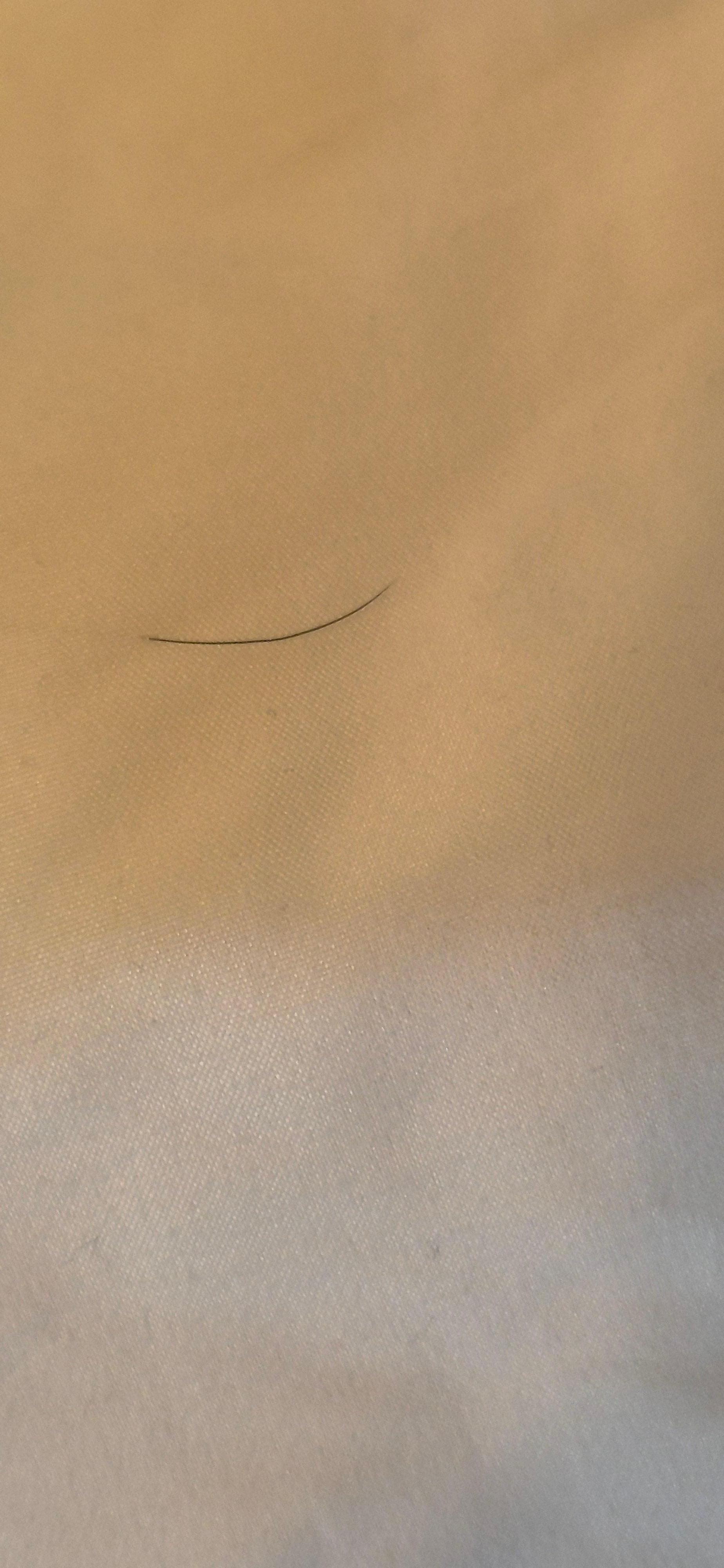 Duvet stain and hair