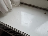 Skitt i vinduskarm. Symptomatisk på renholdet dessverre.