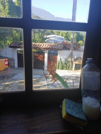 Vista linda da janela. Nessa foto tem um passarinho escondido pousado na flor rs