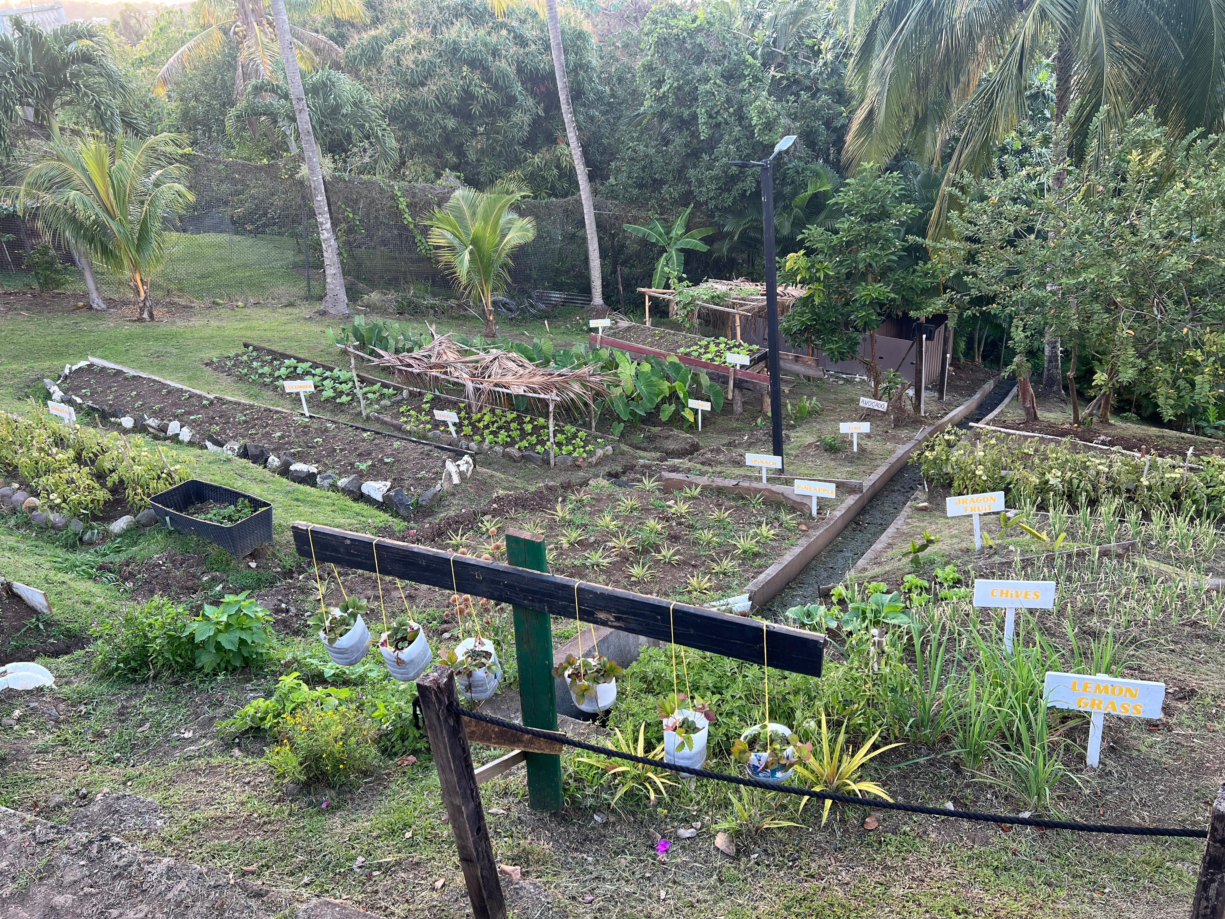 Garden on property