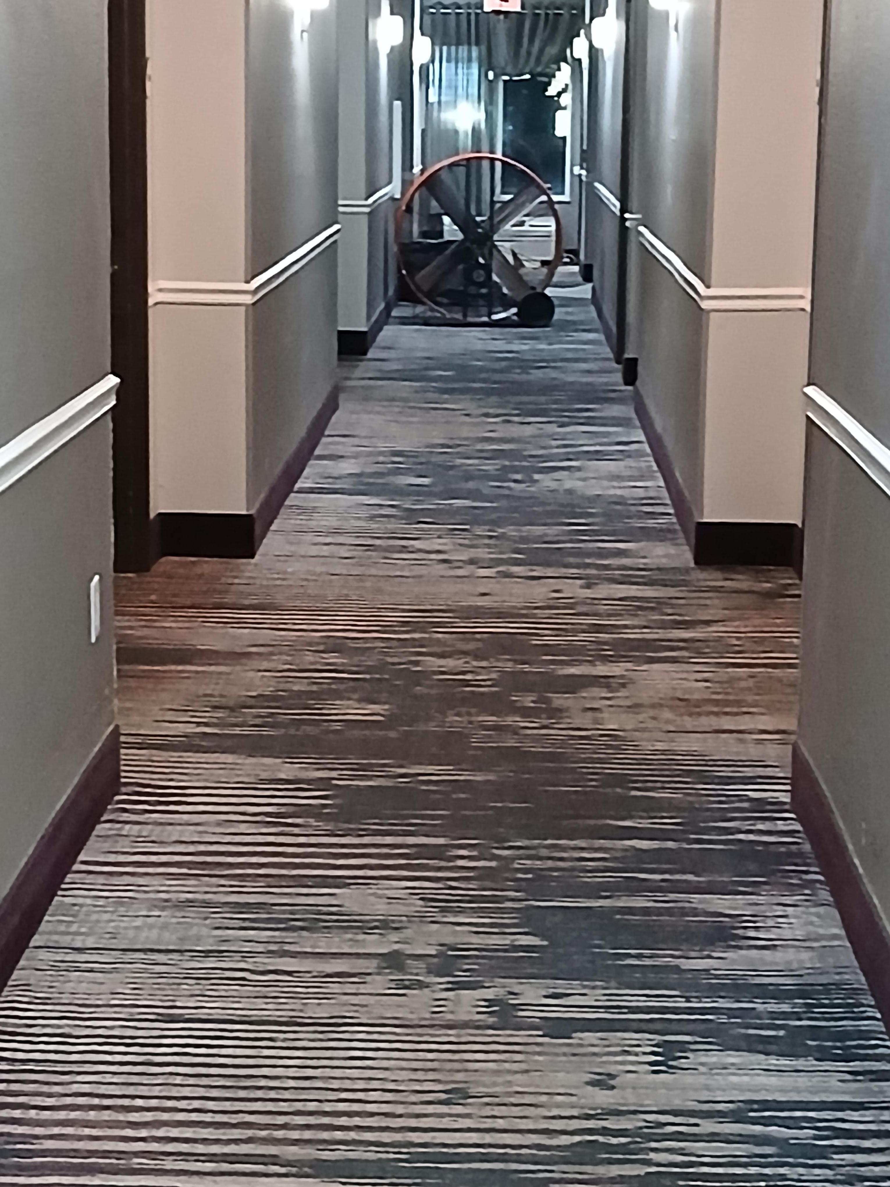 Excessiveworn carpet, musty and hot in hallway.  The elevator is old and inspection sticker appears false.