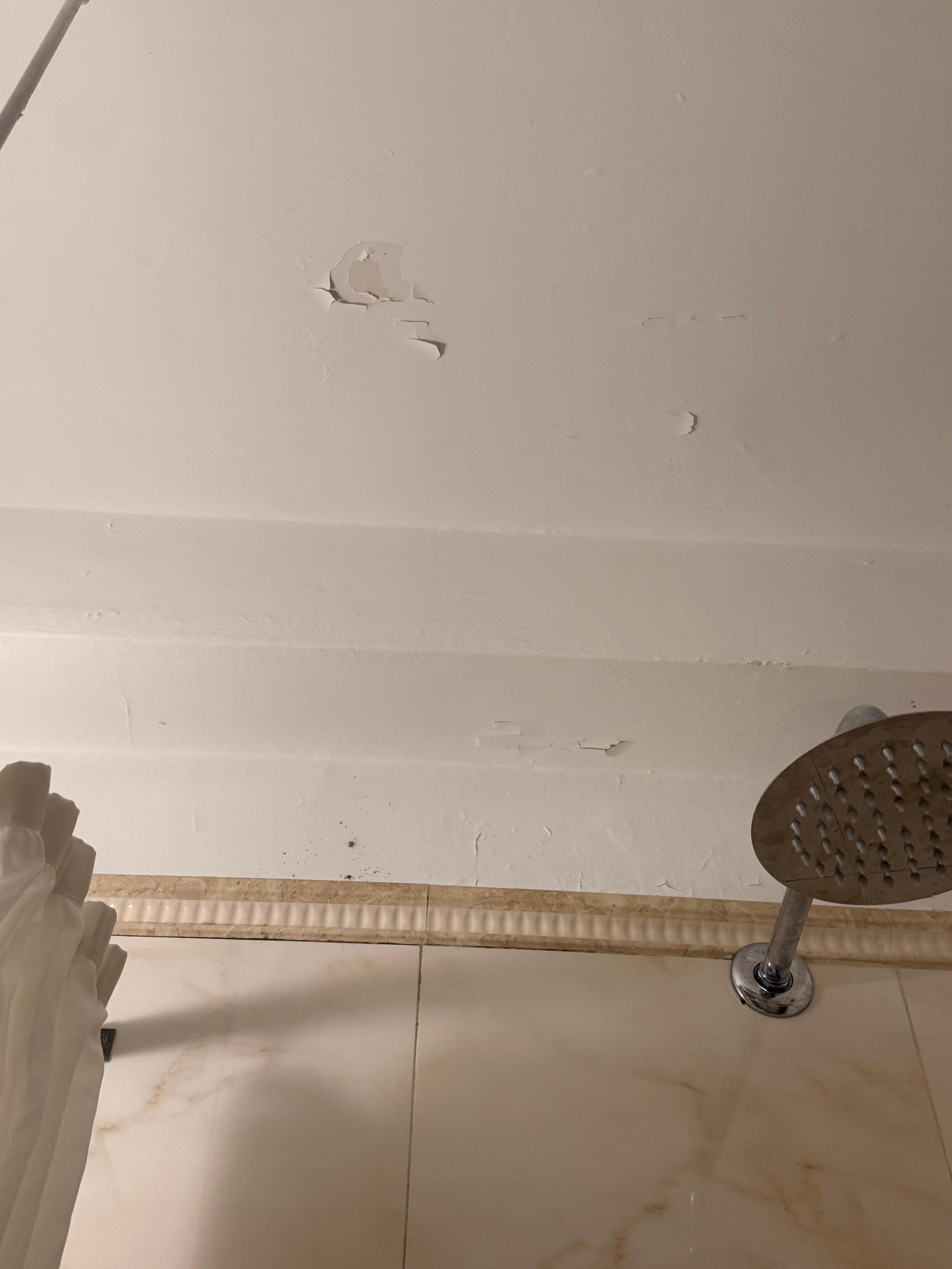 Peeling ceiling with visible moisture damage and what appears to be mold.