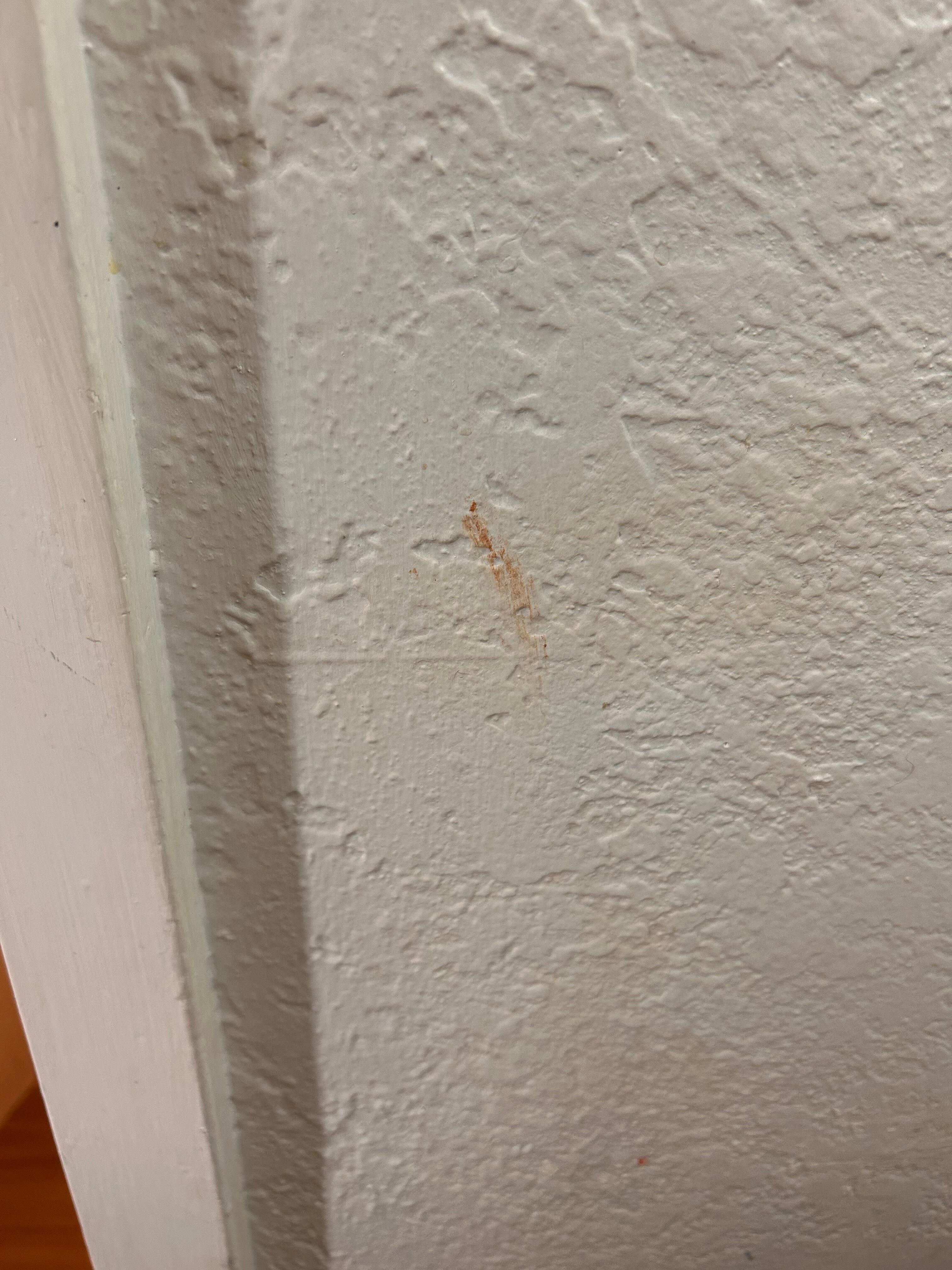 Some more “stains” 