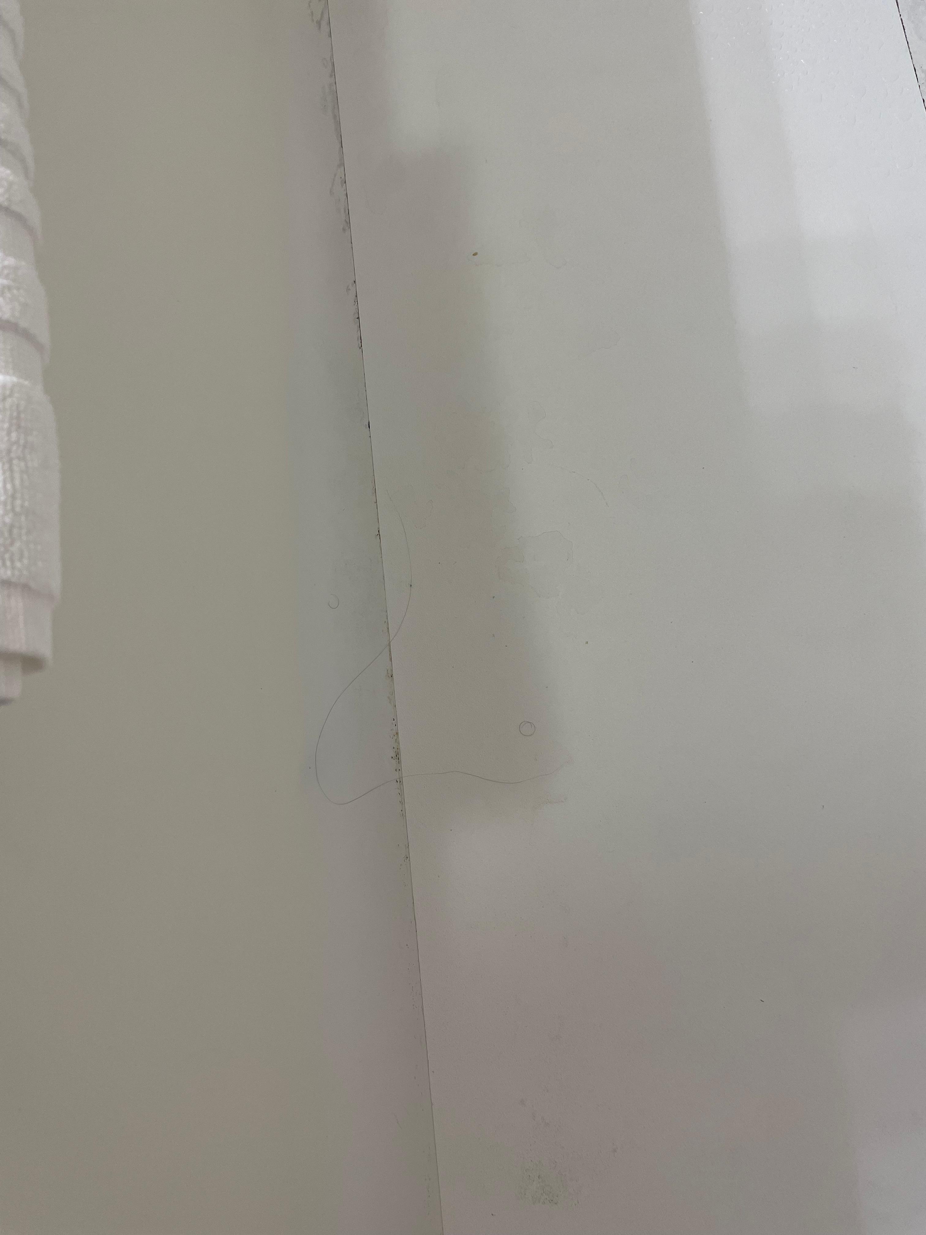 Bathtub with hair in it. I had to clean the tub before we even would take a shower 