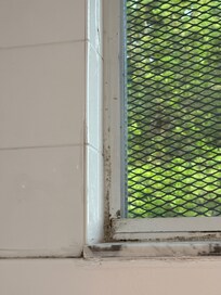 Mildew and mold in the bathroom window in the shower, which for me is bad because I have respiratory issues
