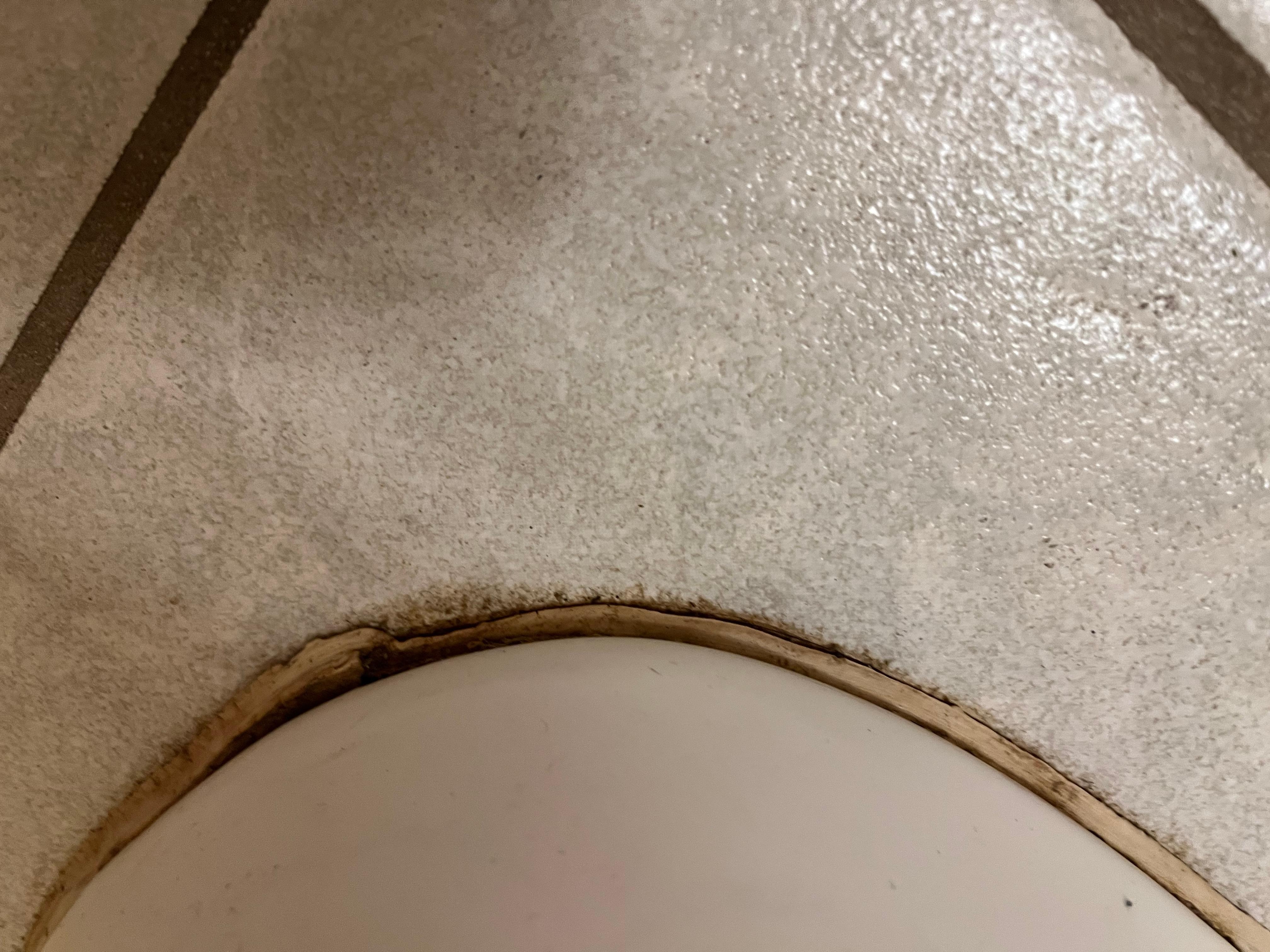 This was around the bottom of the toilet