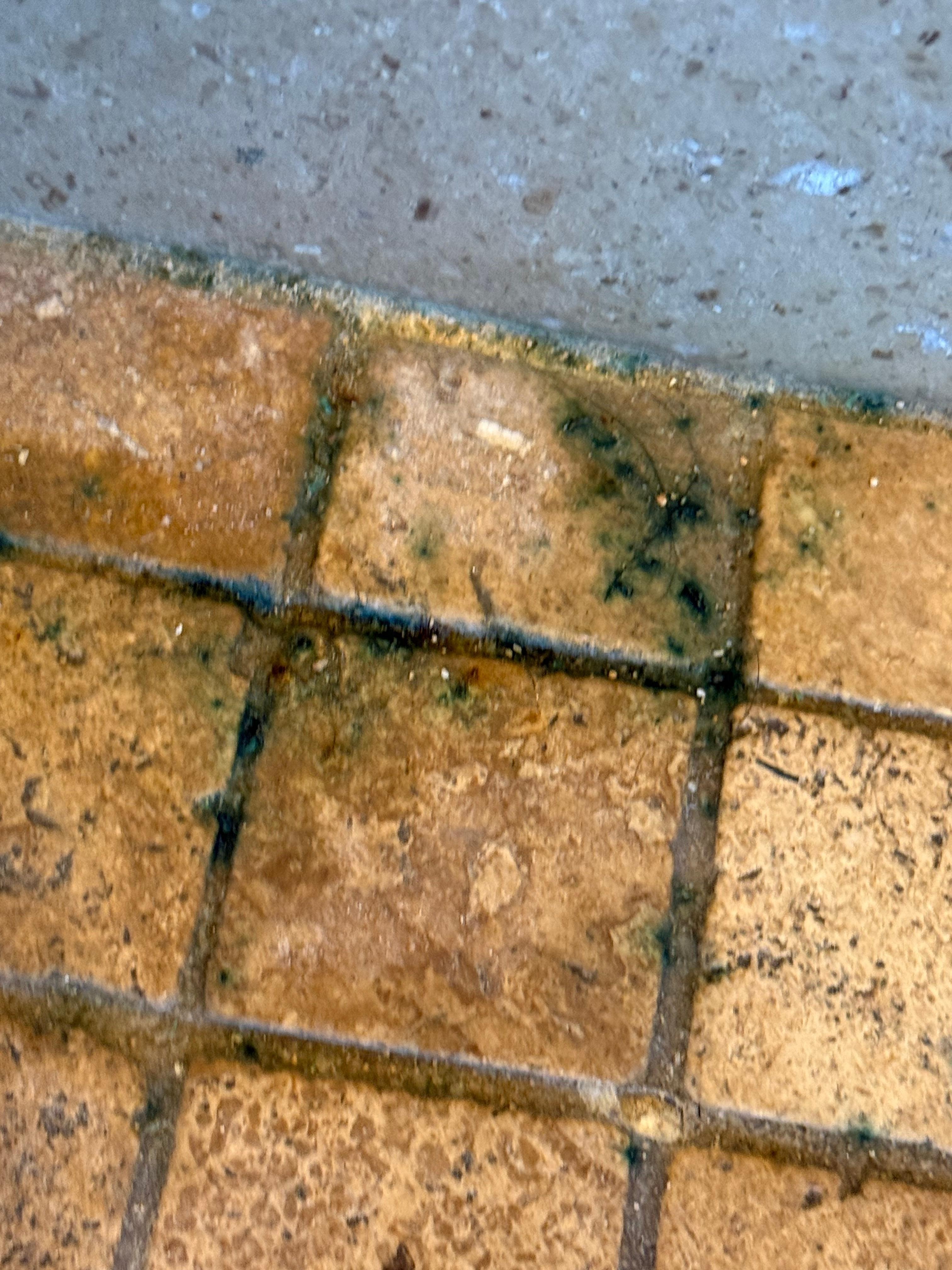 Mold on the floor of bathroom 