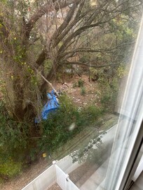 Homeless encampment next to hotel.