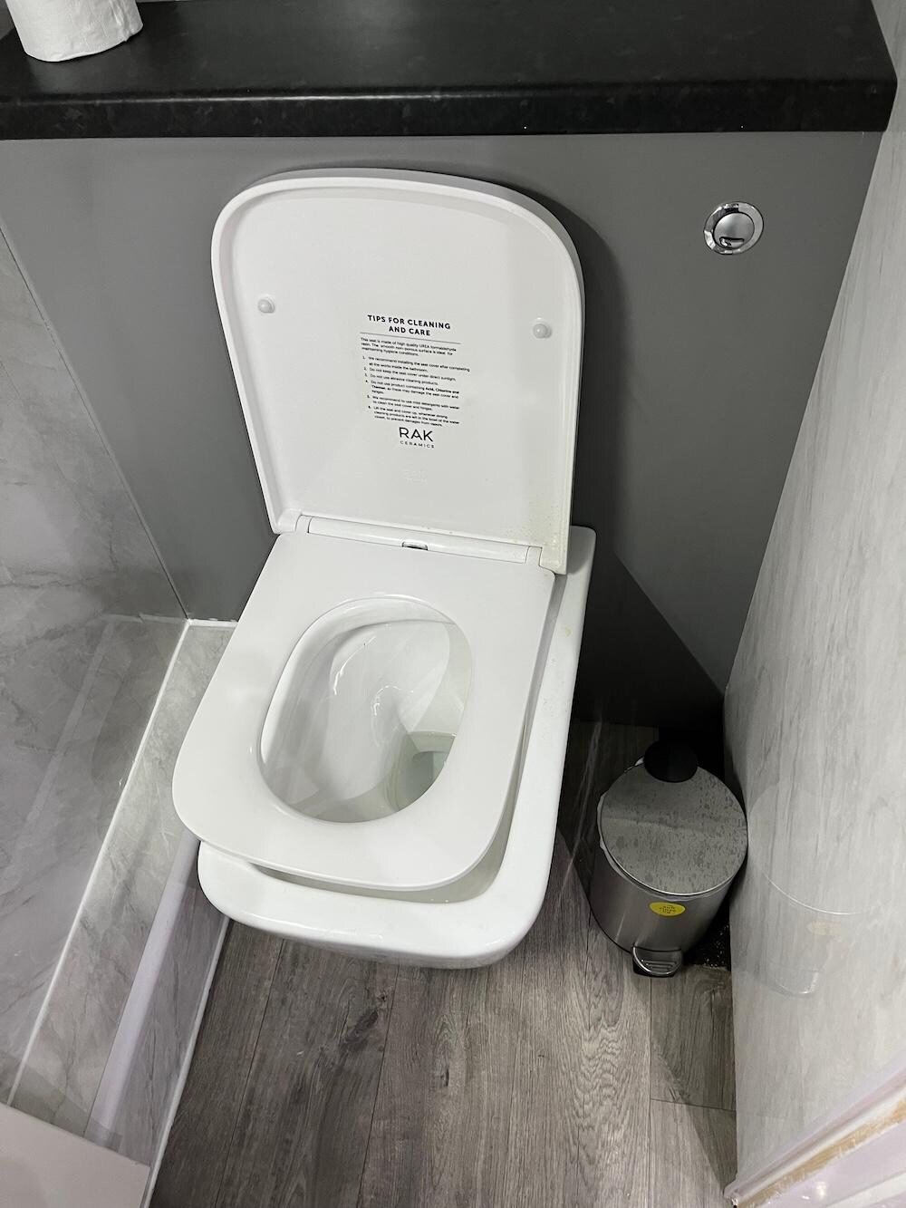 Loose toilet seat